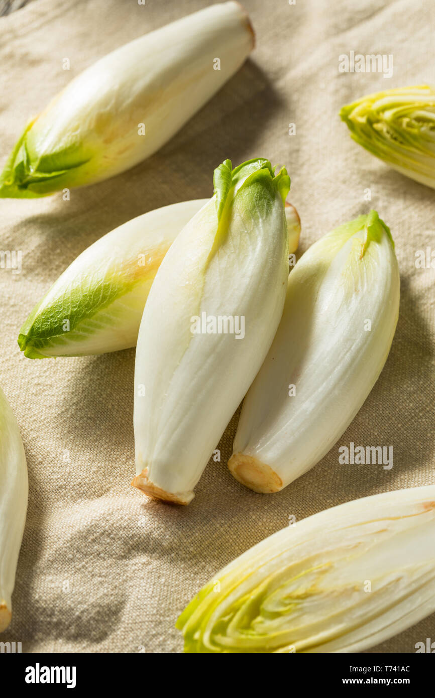 Raw Organic Belgian Endive Ready to Use Stock Photo - Alamy