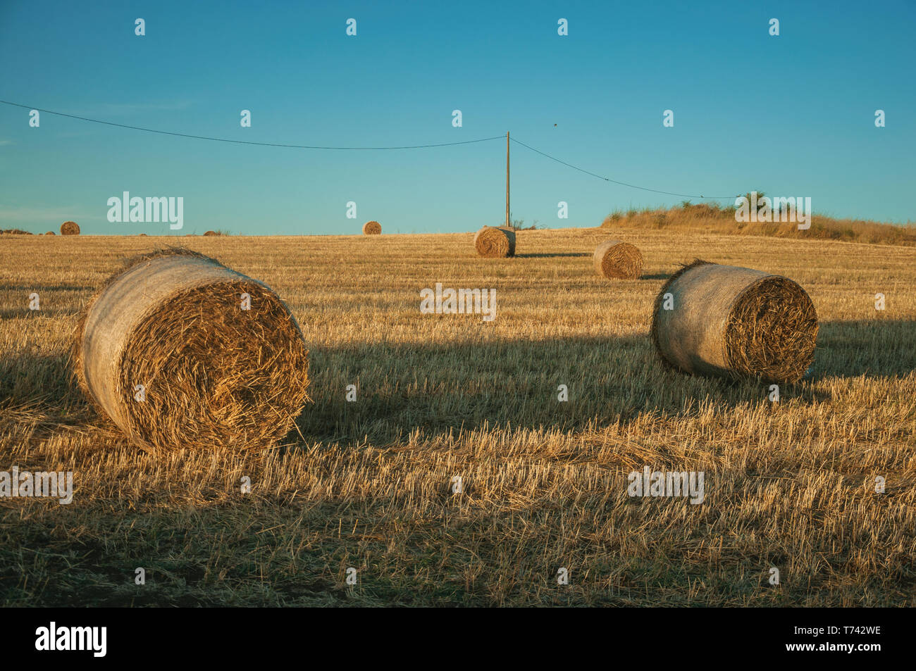 Agriculture In Portugal High Resolution Stock Photography and Images ...