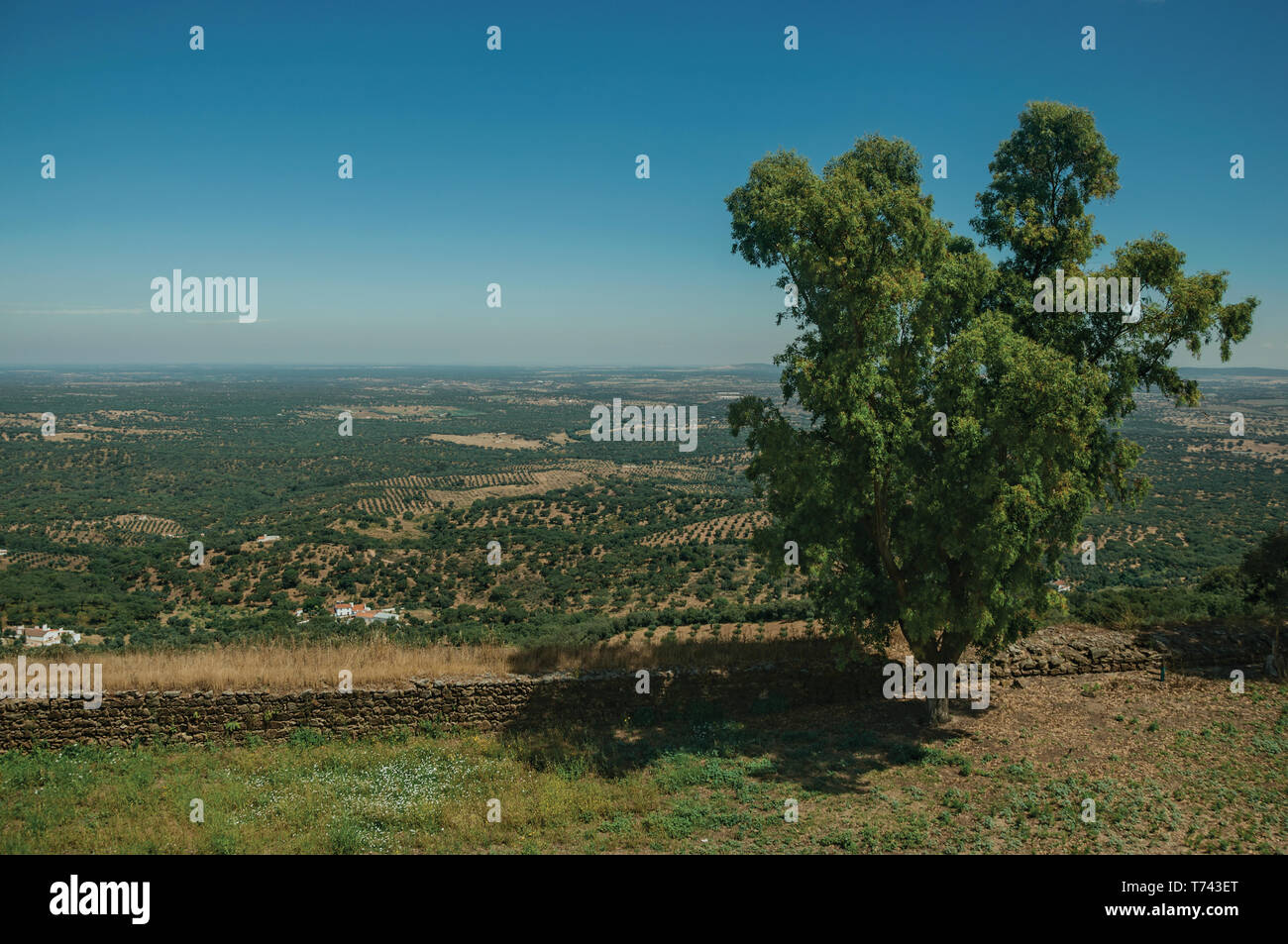 Castle top farm hi-res stock photography and images - Alamy