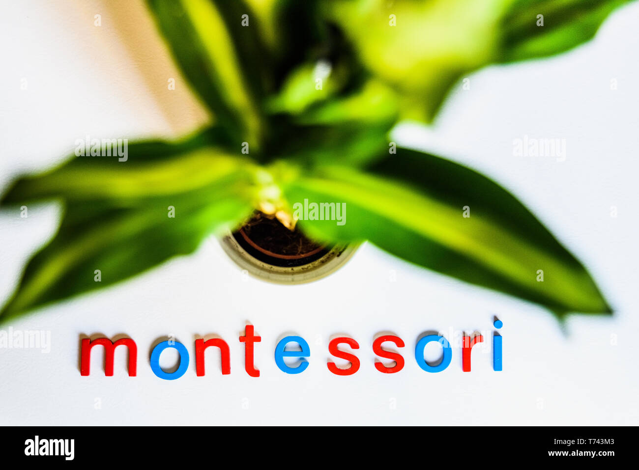 Montessori word written with colorful letters on white background Stock ...