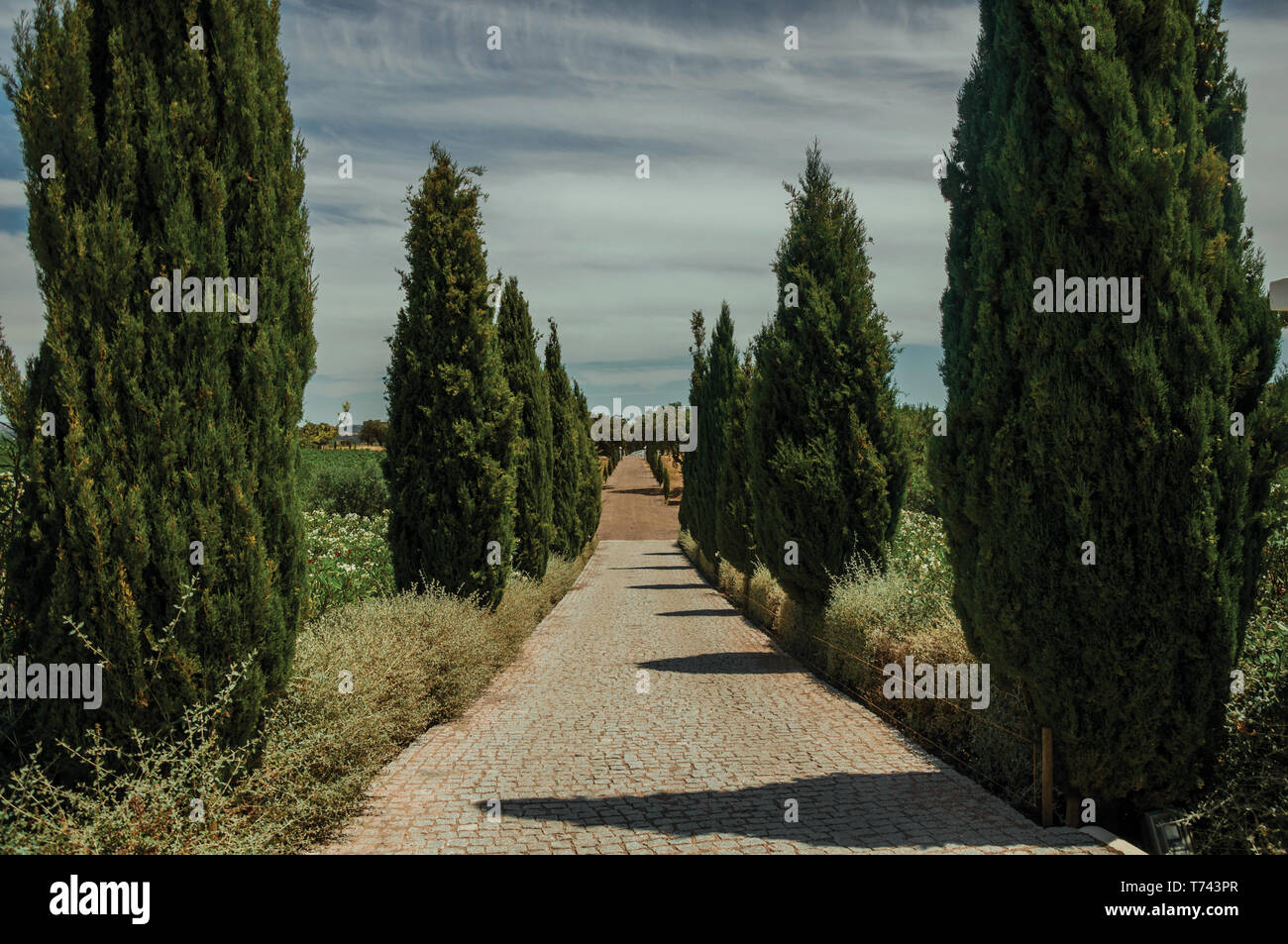 Eastern europe cobblestone road hi-res stock photography and images - Alamy