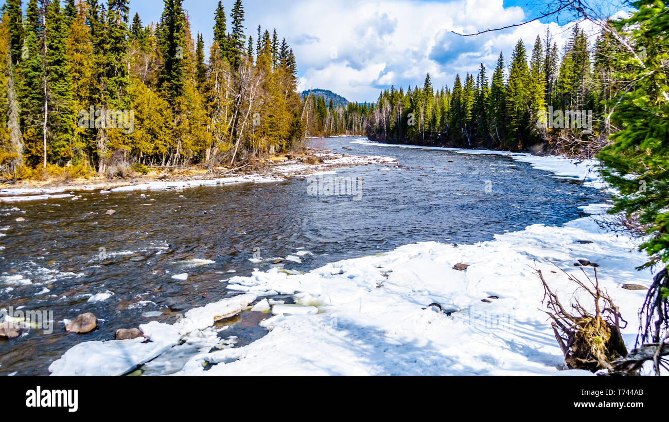 Cariboo park hi-res stock photography and images - Alamy