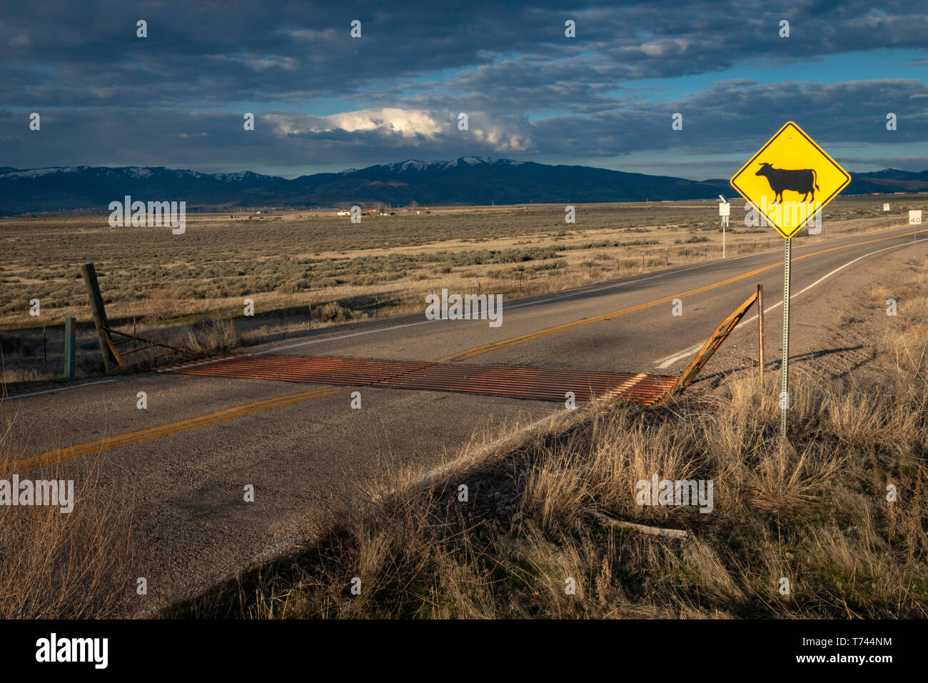 Cattle guard hi-res stock photography and images - Alamy