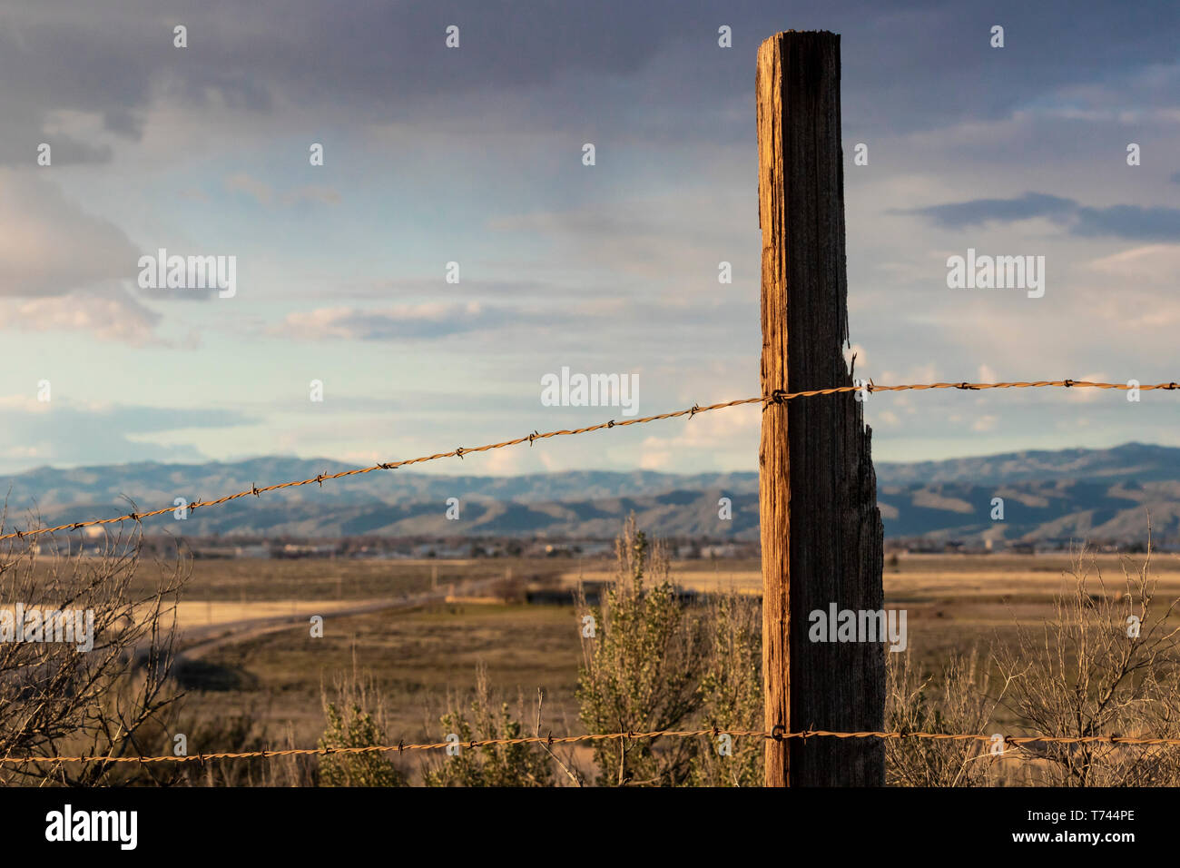Old barbed wire fence hi-res stock photography and images - Alamy