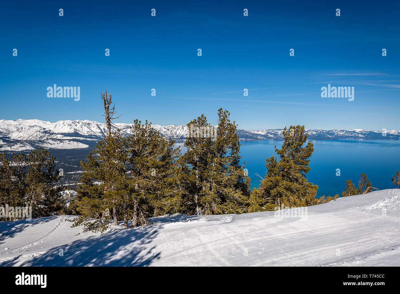 Elevated view of Lake Tahoe Stock Photo - Alamy