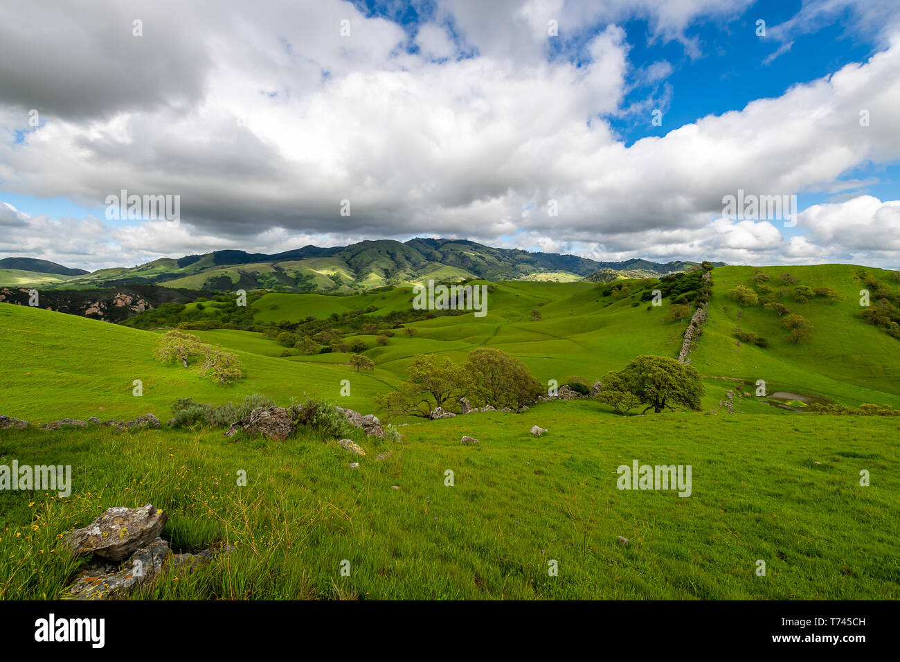 Diablo foothills regional park hi-res stock photography and images - Alamy