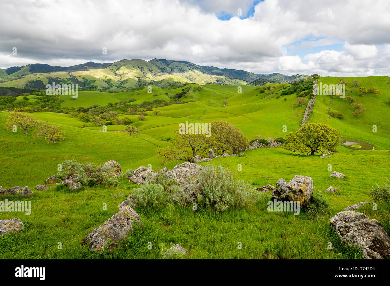 Mount diablo hike hi-res stock photography and images - Alamy