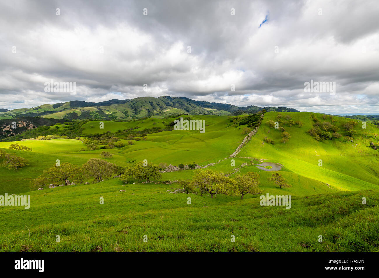 Diablo foothills regional park hi-res stock photography and images - Alamy