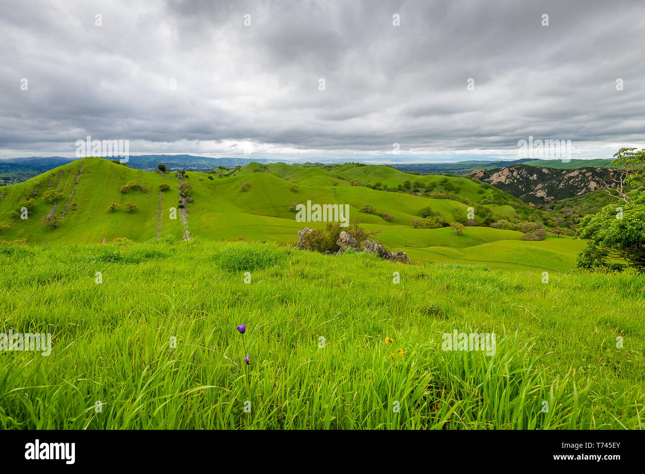 Mount diablo hike hi-res stock photography and images - Alamy
