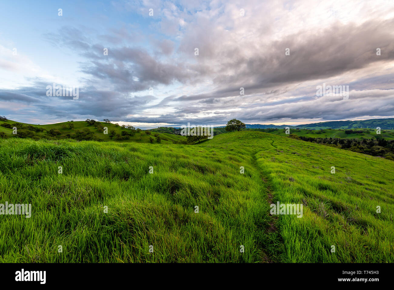 Mount diablo state park observation hi-res stock photography and images ...