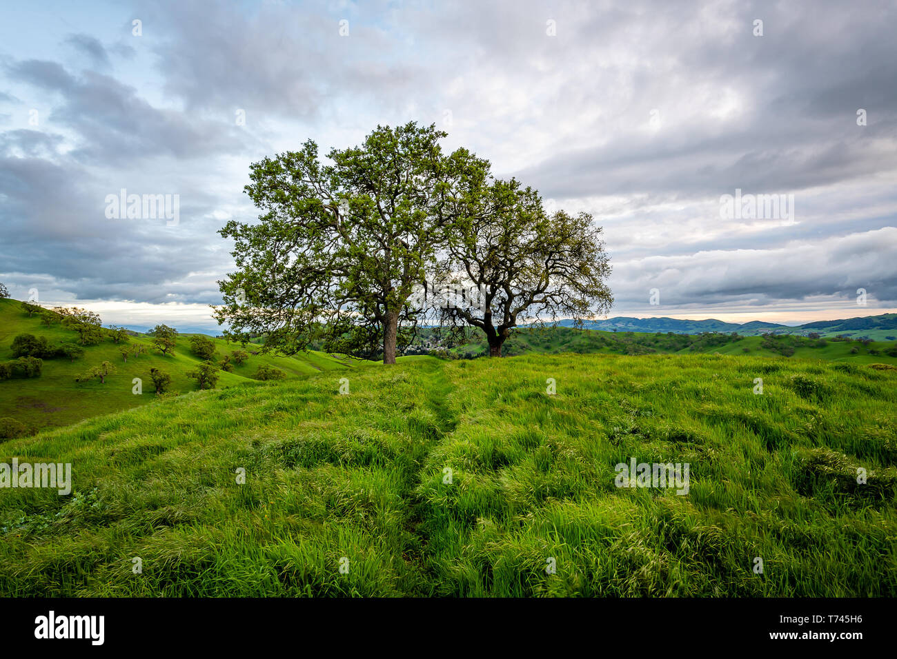Sunset over Mount Diablo State Park Stock Photo - Alamy