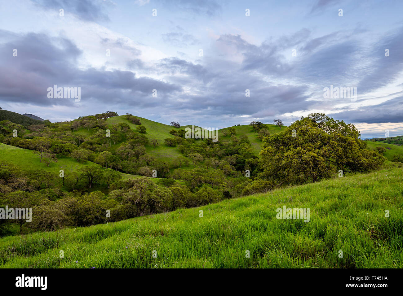 Sunset over Mount Diablo State Park Stock Photo - Alamy
