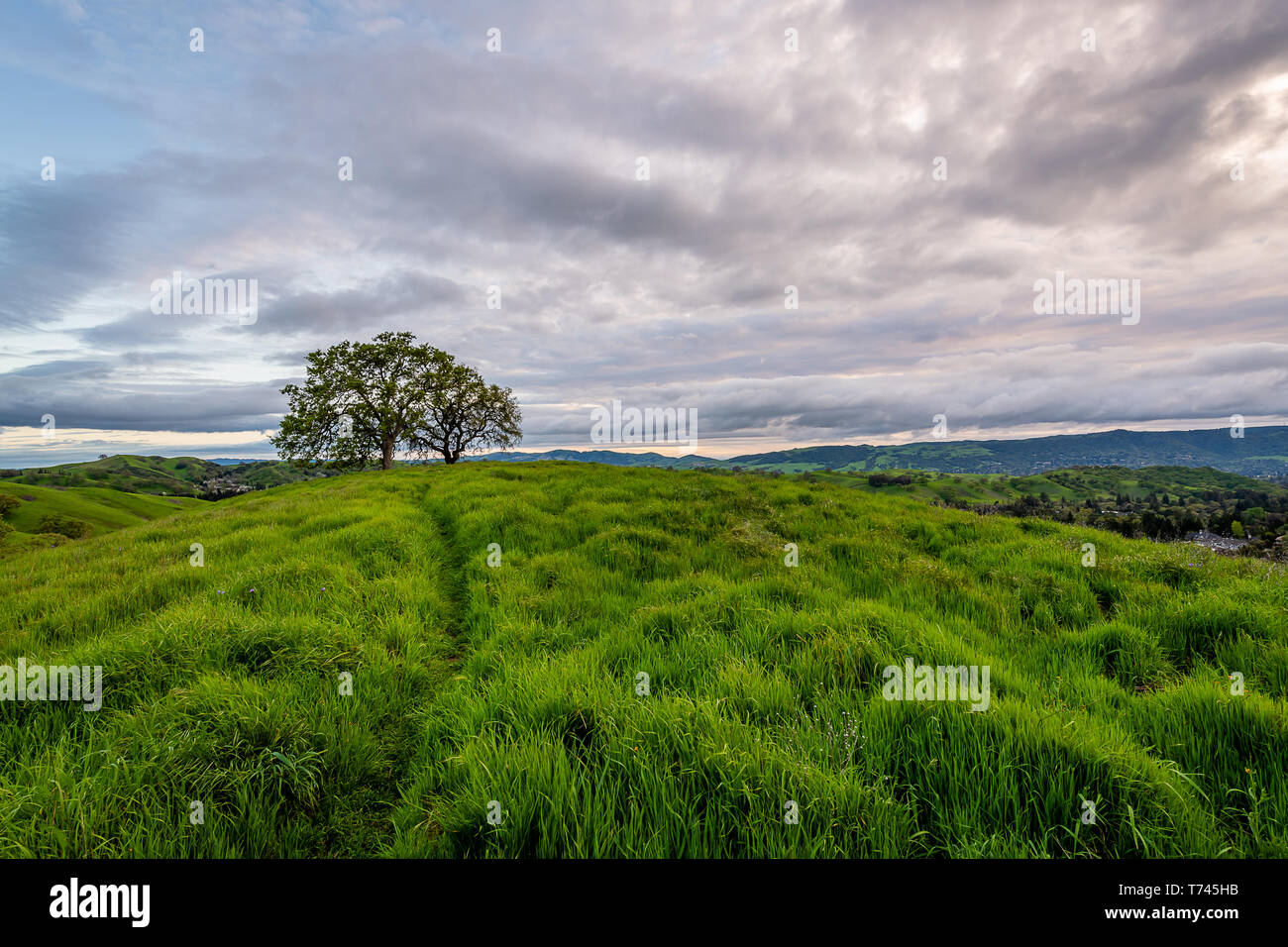 Sunset over Mount Diablo State Park Stock Photo - Alamy