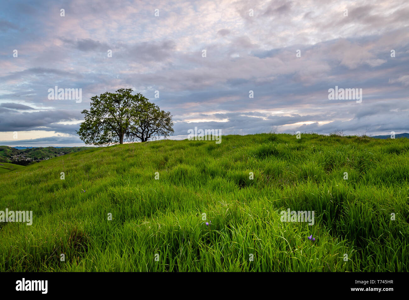 Mount Diablo State Park Observation High Resolution Stock Photography ...