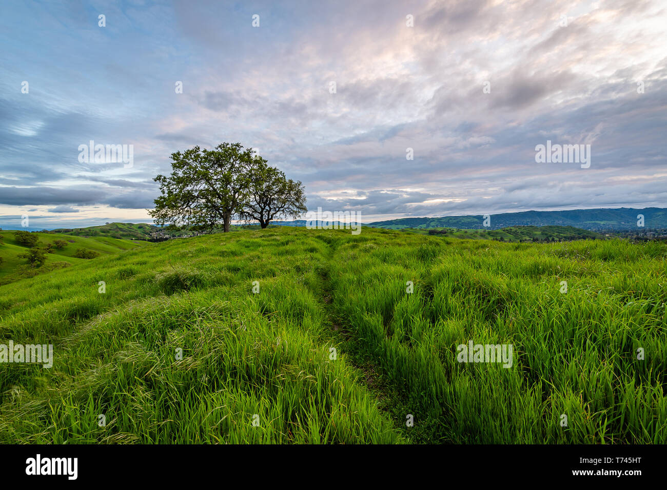 Mount diablo state park observation hi-res stock photography and images ...