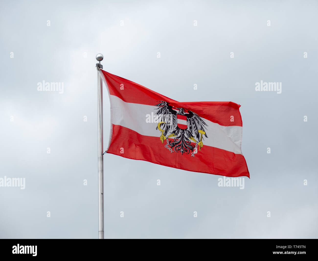 Austrian Flag with the Federal Eagle Coat of Arms and Red, White and ...