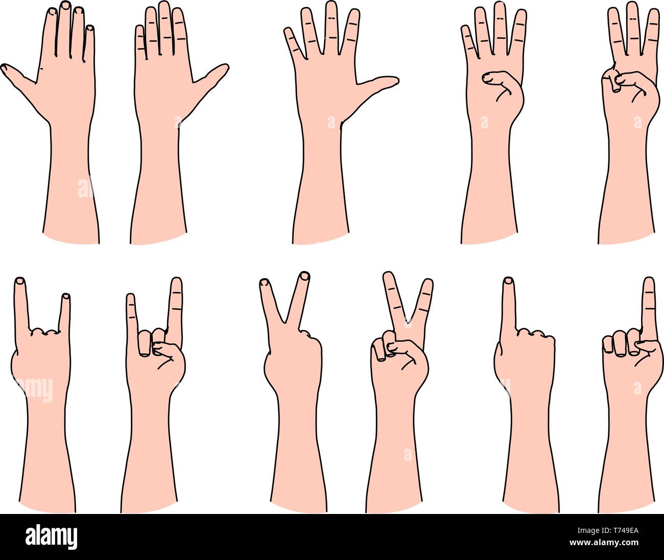 Counting numbers by line art human fingers and hand gesturing of ...