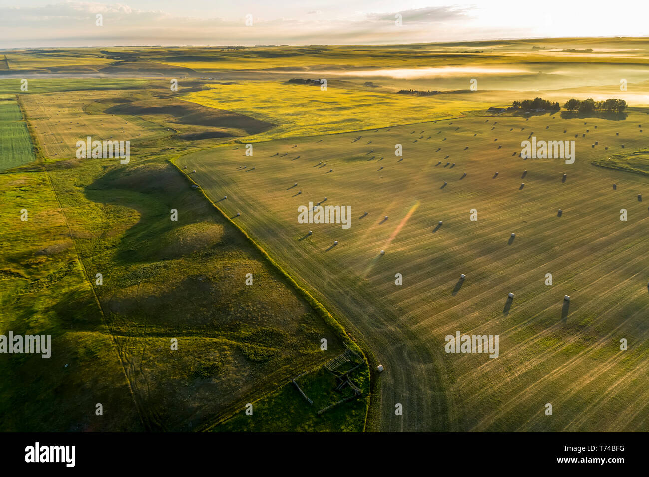 Aerial view of a cut field with hay bales glowing with early morning ...