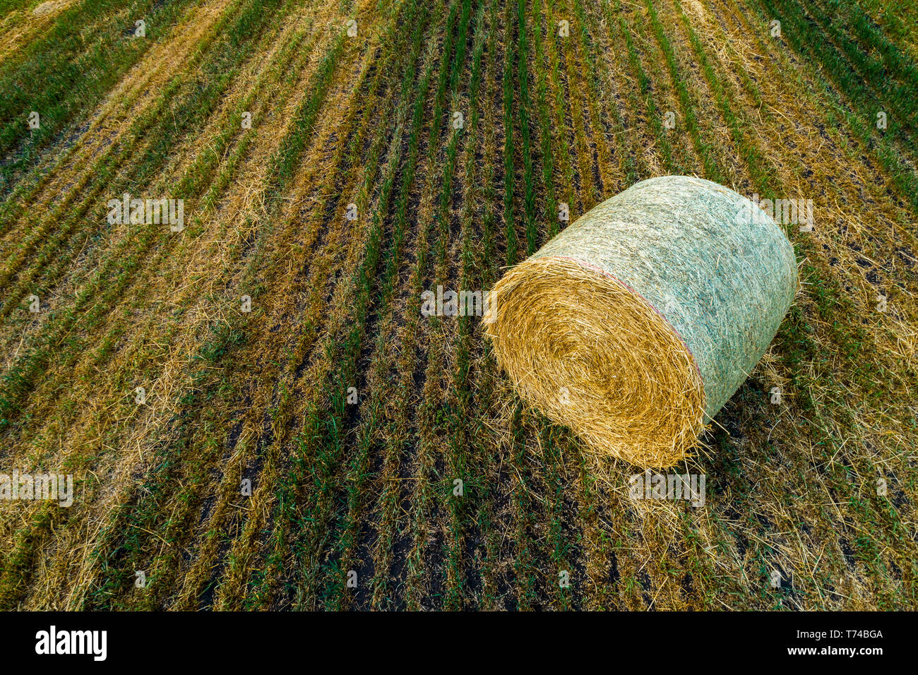 Close up view bale hay hi-res stock photography and images - Alamy