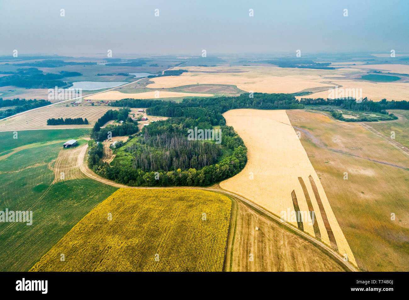 Aerial view of a patch work of different crops in a field, including ...