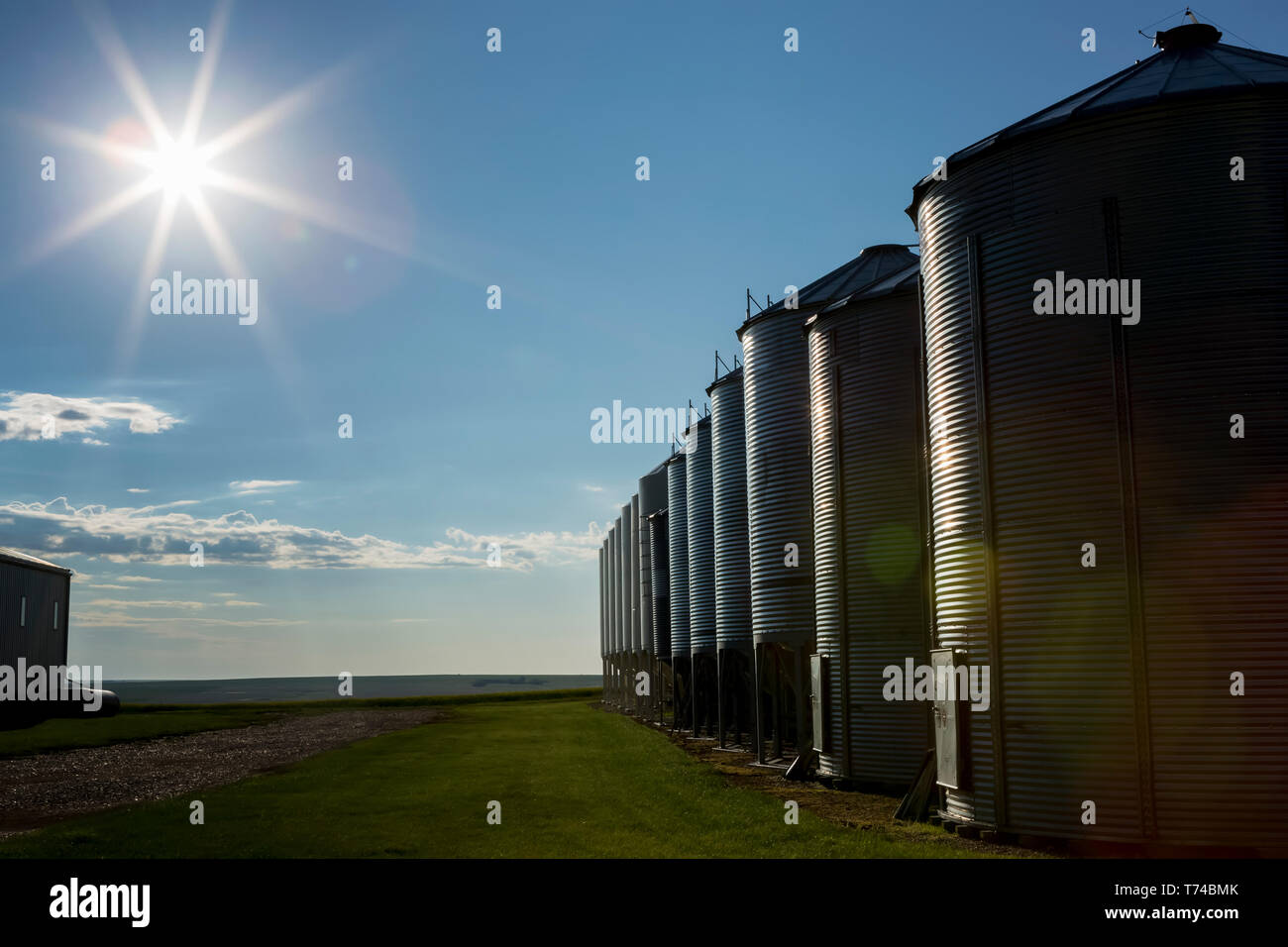 Row of large metal grain bins in a row with sunburst and blue sky and ...