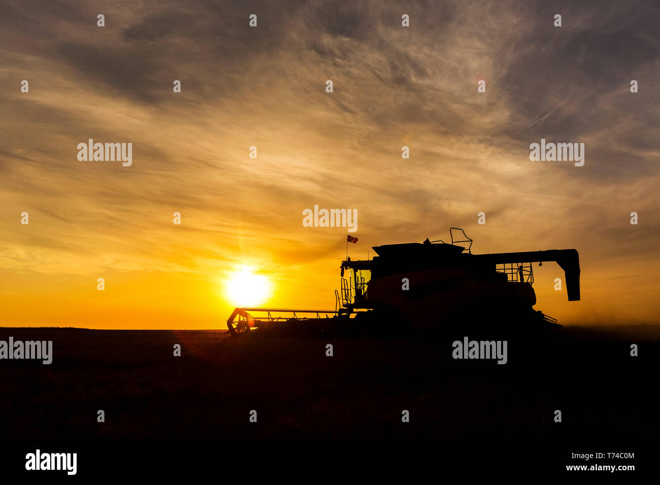 Combine silhouette hi-res stock photography and images - Alamy