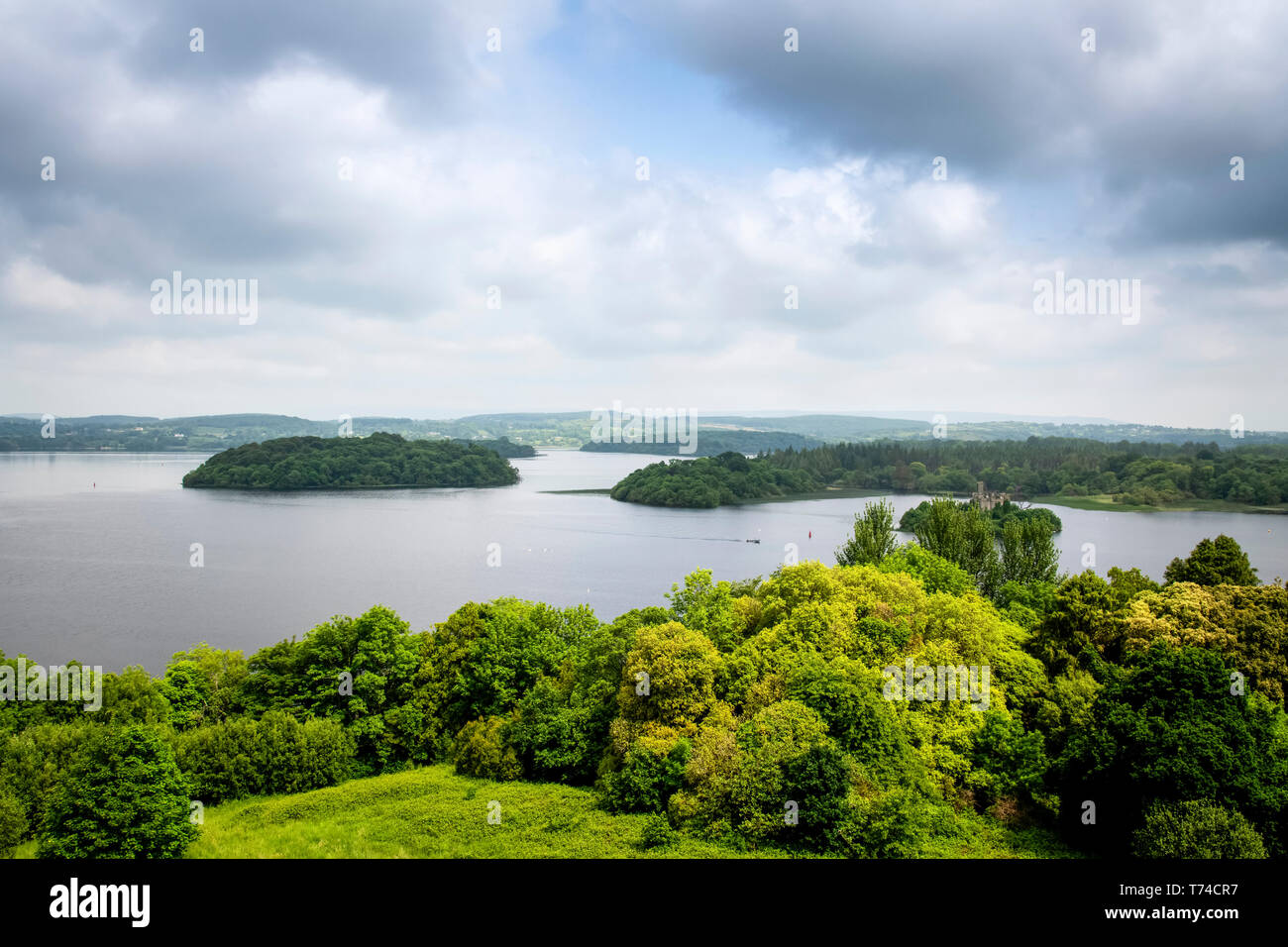 Lough key forest park hi-res stock photography and images - Alamy