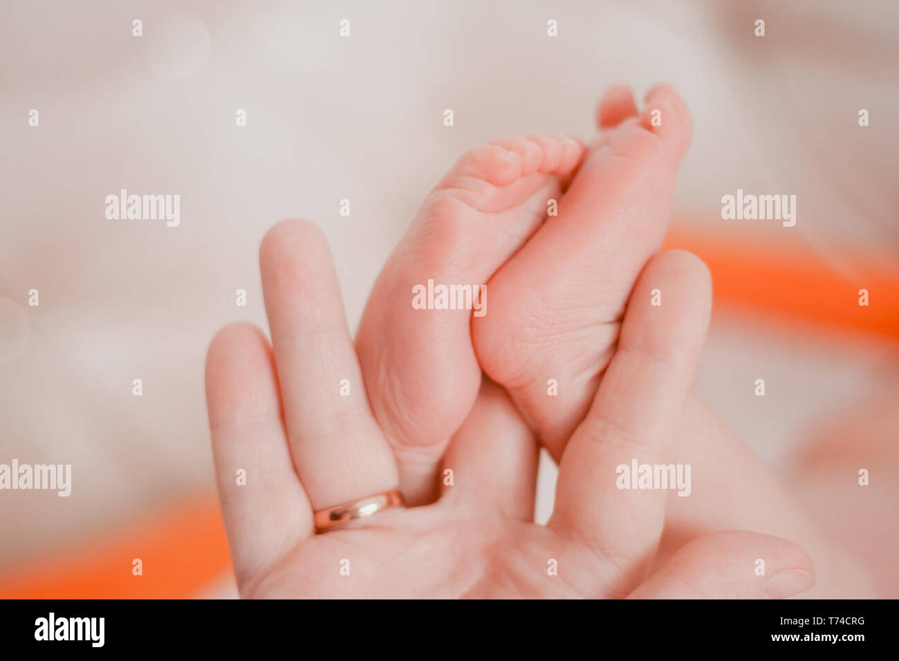 Pregnancy, maternity, preparation and expectation motherhood, giving ...