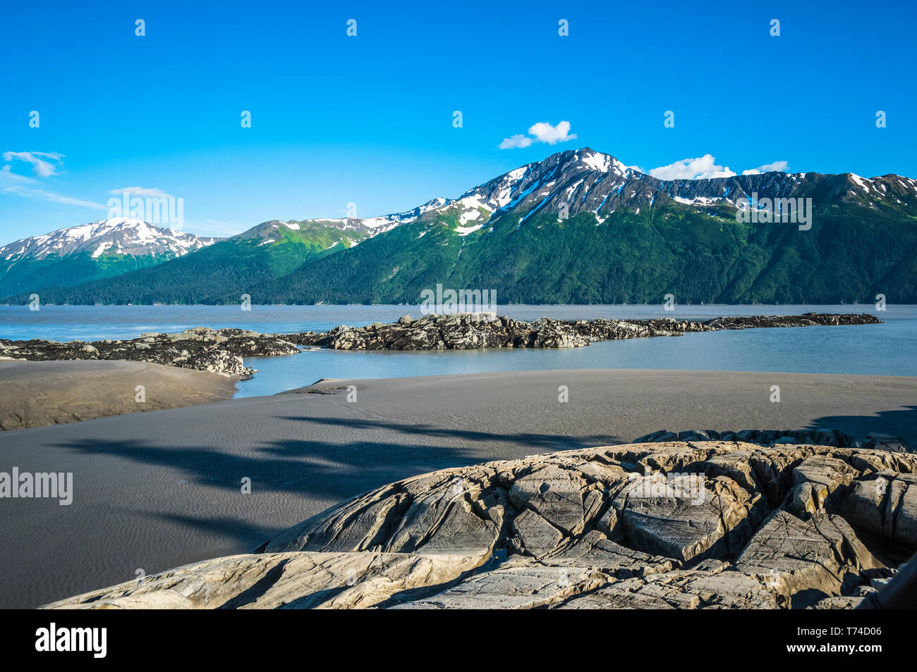 Shoreline central park hi-res stock photography and images - Alamy