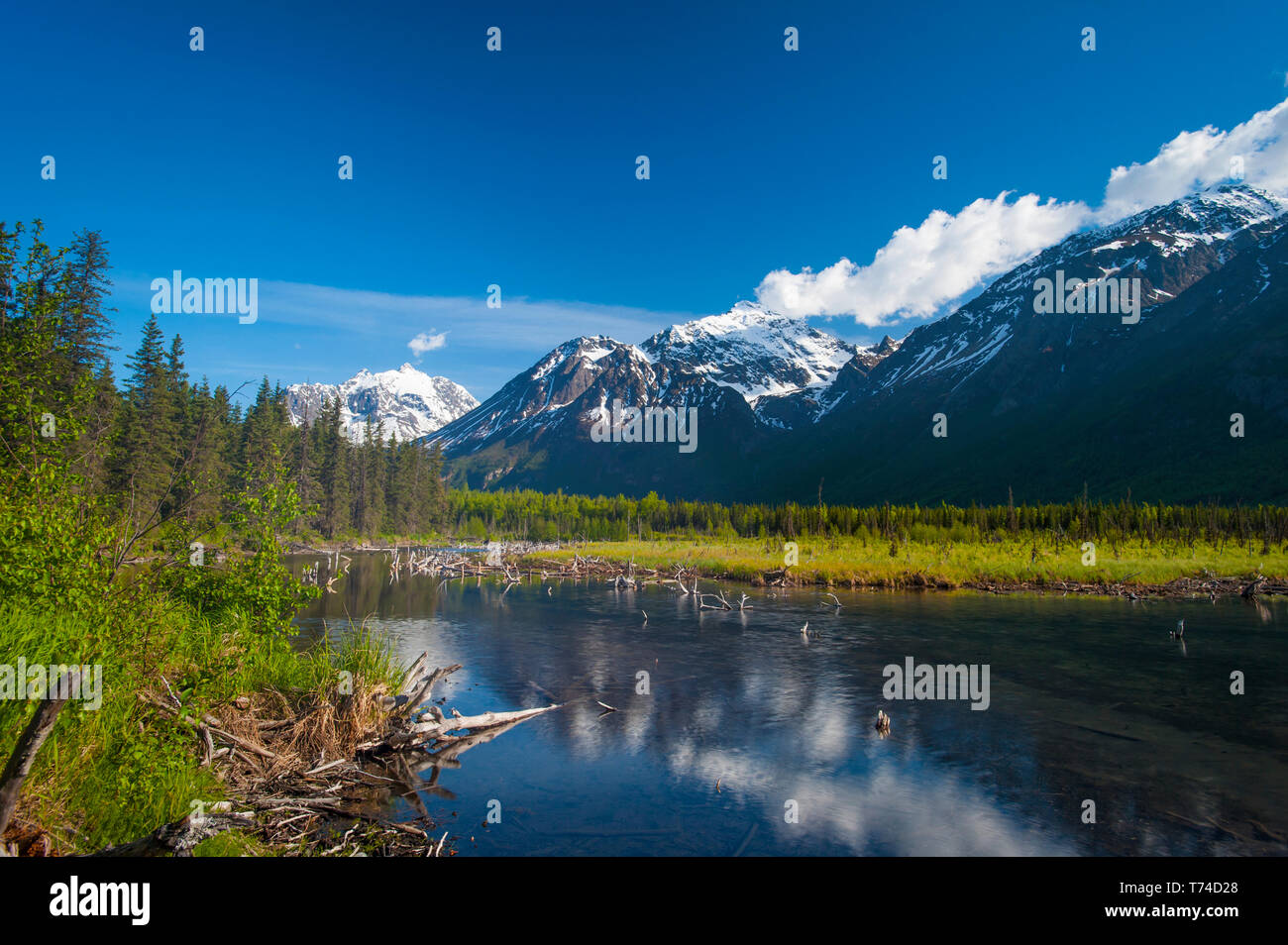Alaska Summer Mountains