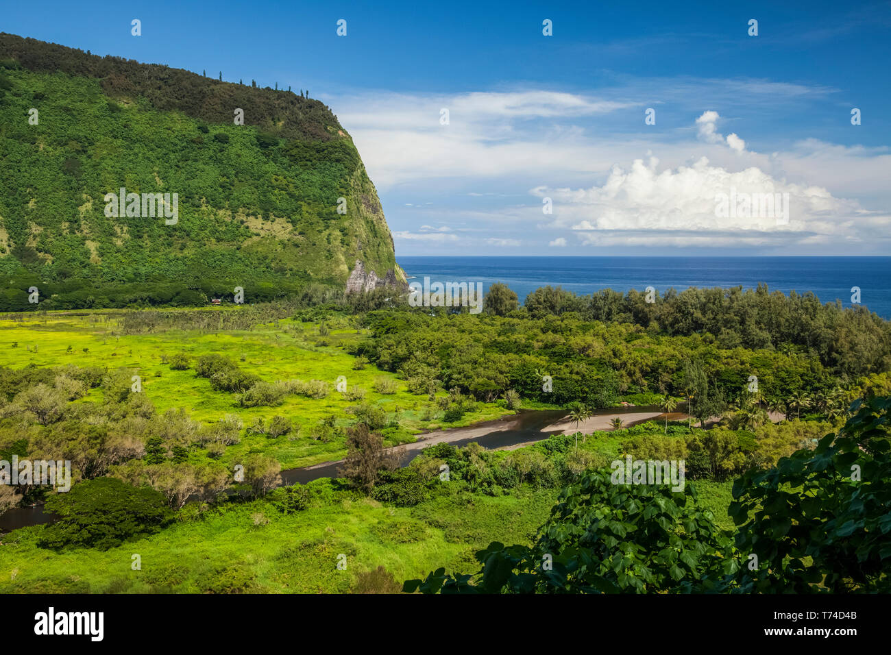 Waipio Valley and stream, Hamakua Coast, near Honokaa; Island of Hawaii ...