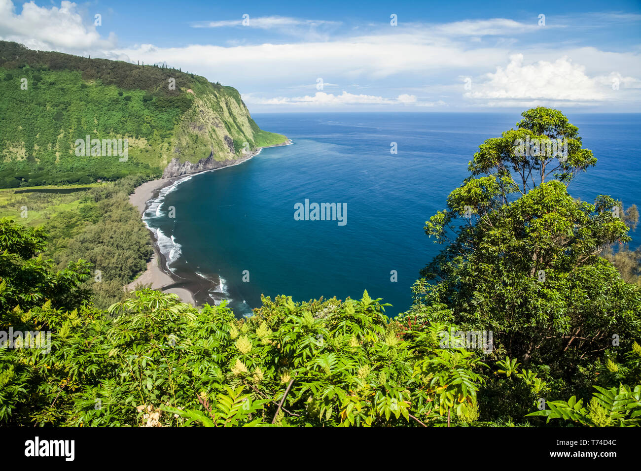 Waipio Valley from Waipio Lookout, Hamakua Coast, near Honokaa; Island ...