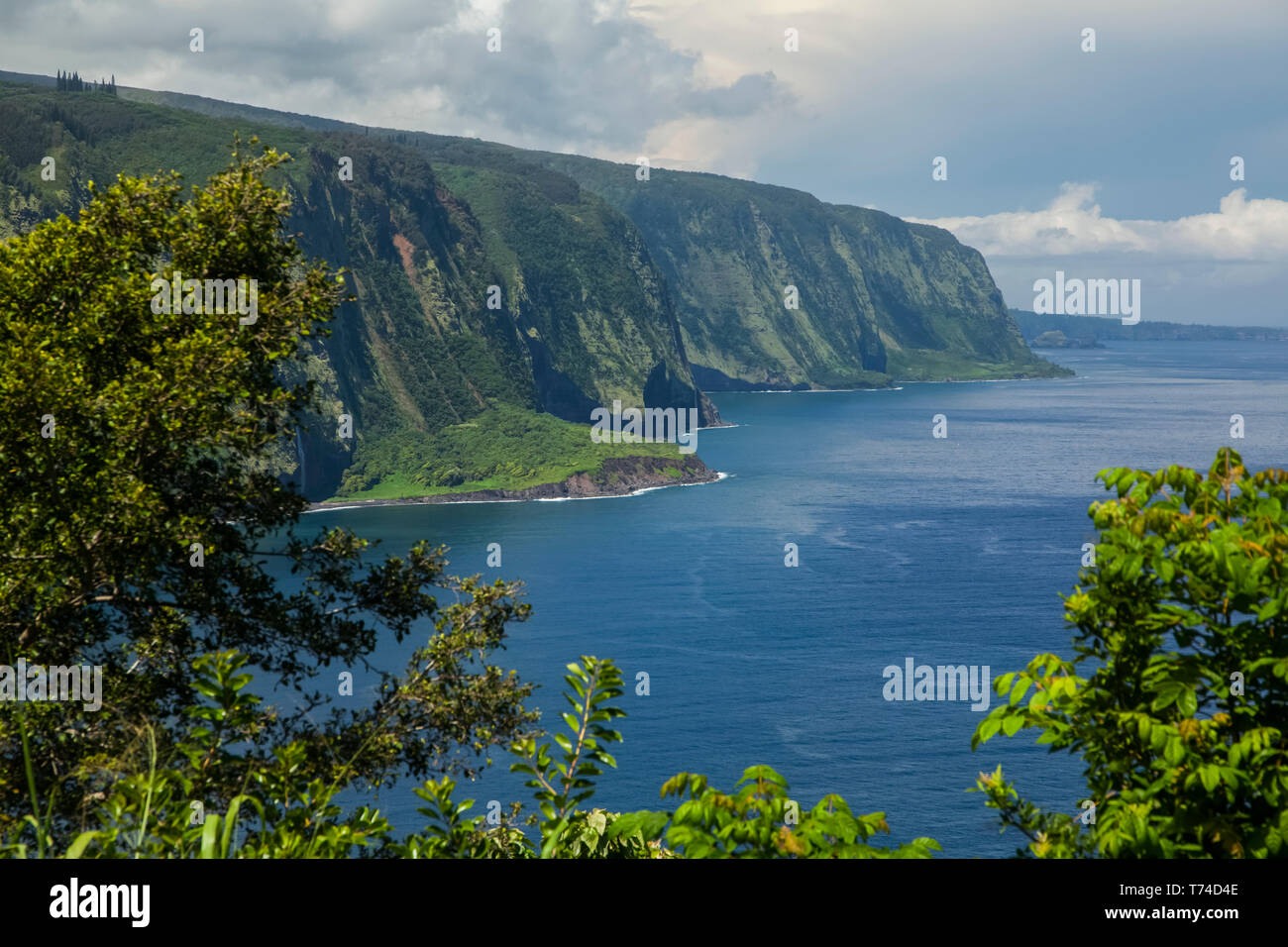 Waipio Valley from Waipio Lookout, Hamakua Coast, near Honokaa; Island ...