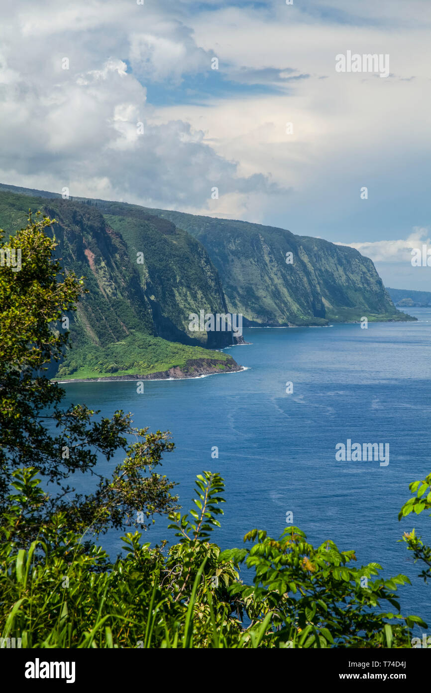 Hamakua coastline hi-res stock photography and images - Alamy