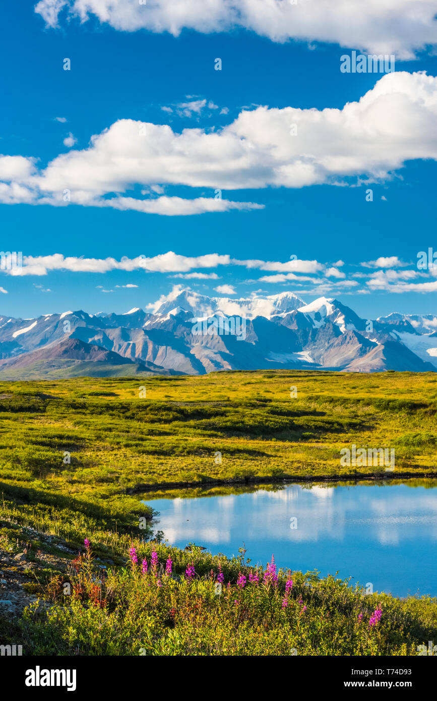 The Alaska Range as seen from the McLaren Ridge Trail off the Alaska ...