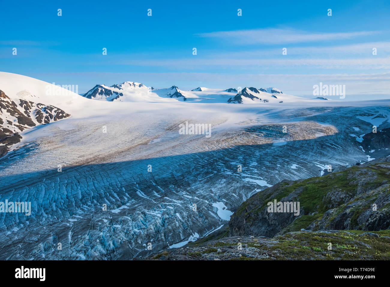 The beautiful Harding Icefield Trail in Kenai Fjords National Park with ...