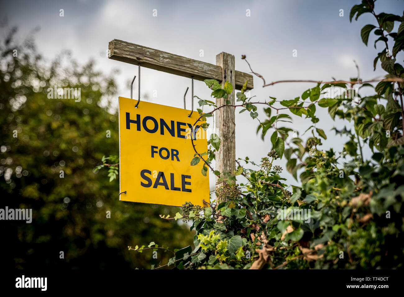 Honey for sale sign hi-res stock photography and images - Alamy