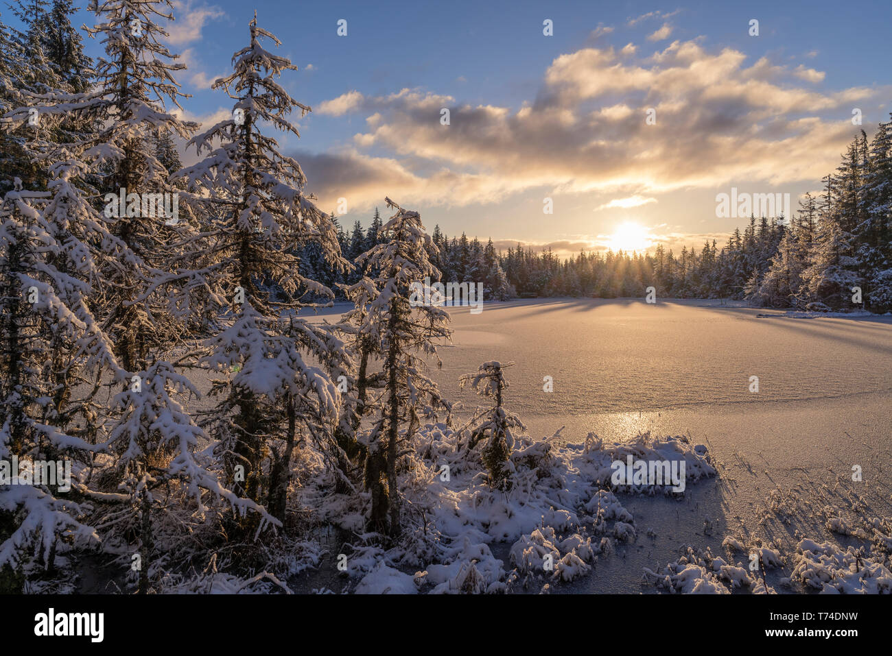 First snowfall in Tongass National Forest; Juneau, Alaska, United ...