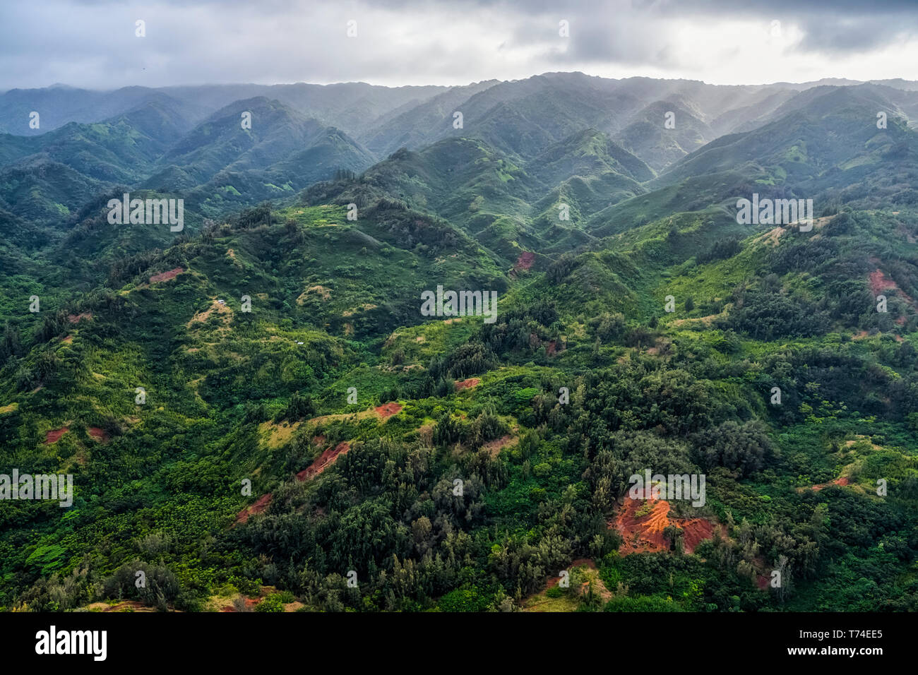 Hawaii oahu island rainforest hi-res stock photography and images - Alamy