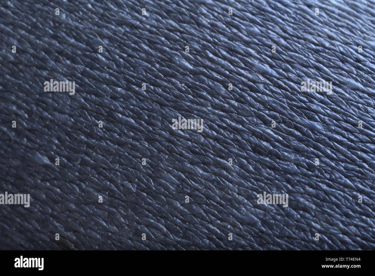 Human skin texture dark hi-res stock photography and images - Alamy