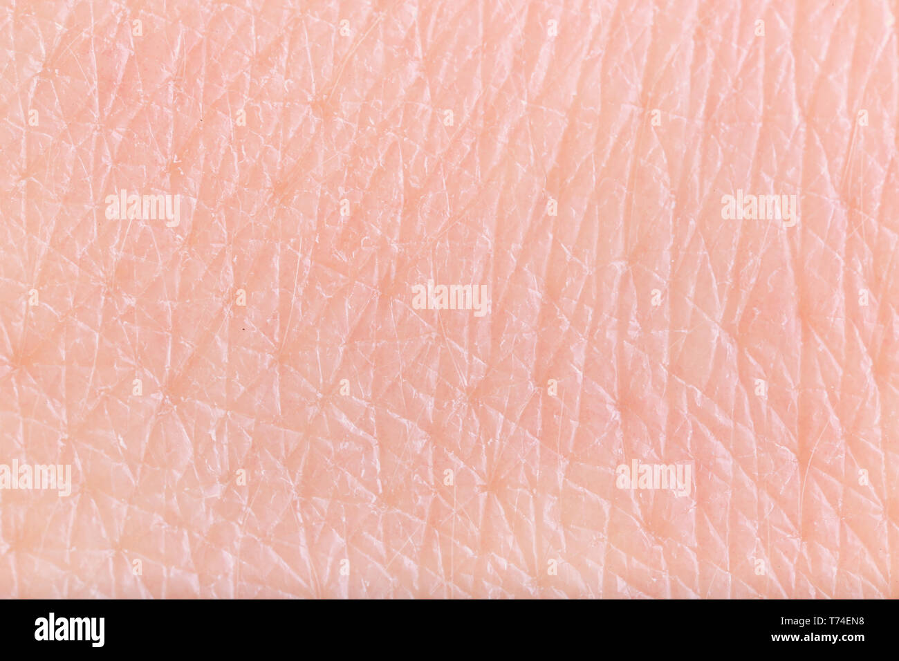 Texture of skin, closeup Stock Photo - Alamy