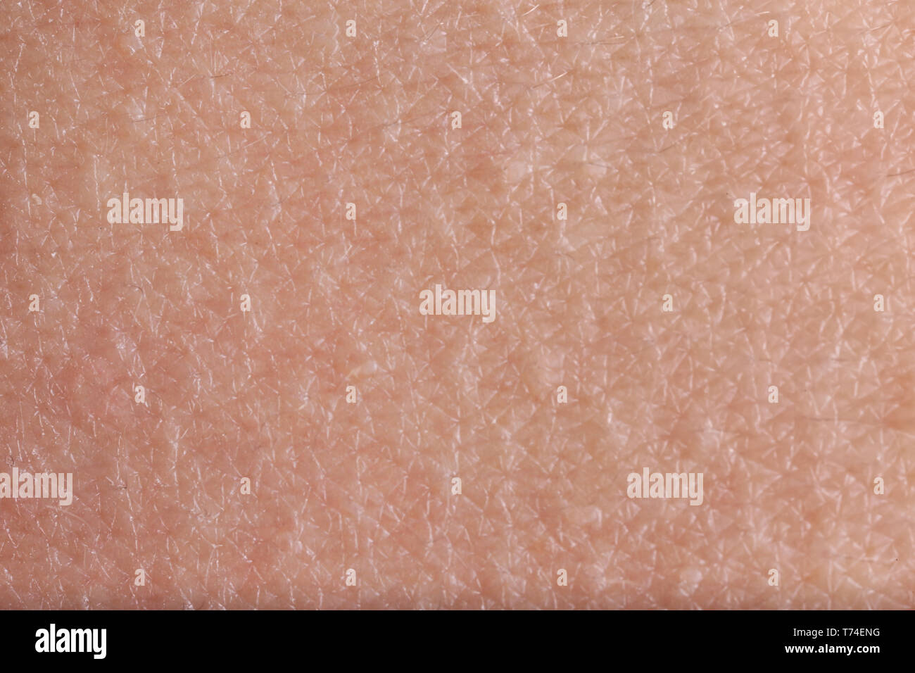 Texture of skin, closeup Stock Photo - Alamy
