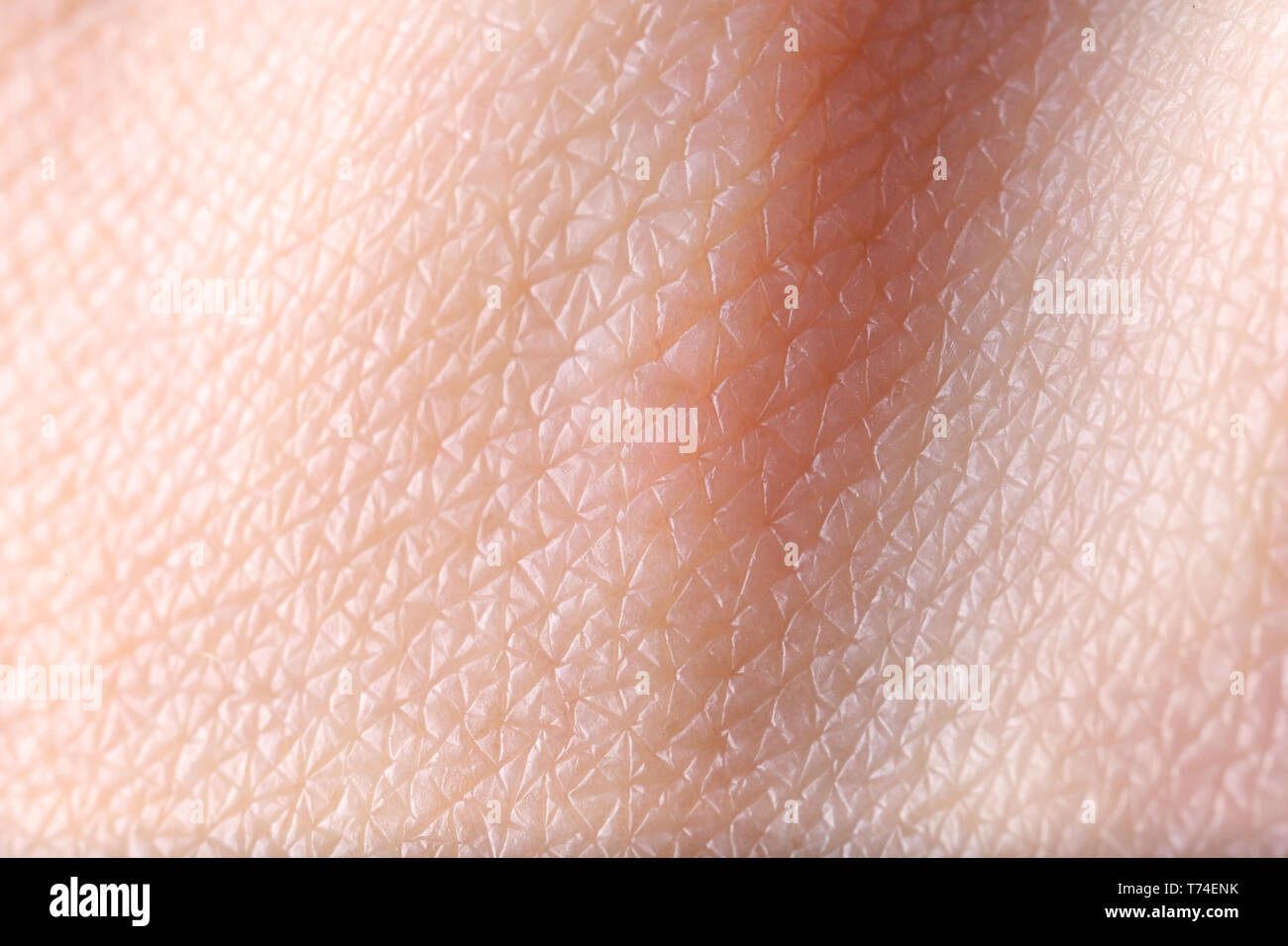 Texture of skin, closeup Stock Photo - Alamy