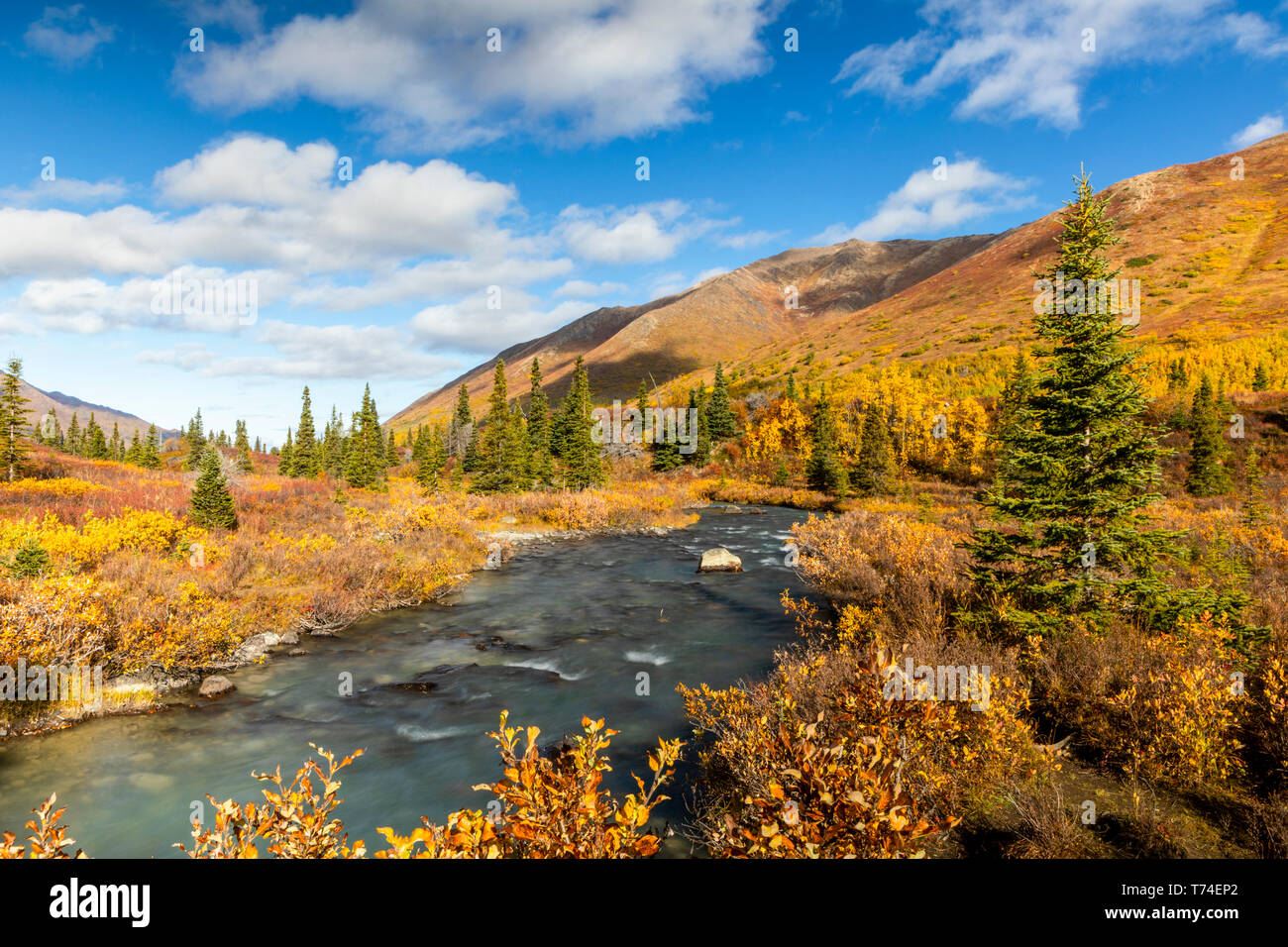 Autumn colours and South Fork Eagle River on the Symphony Lakes/Eagle ...