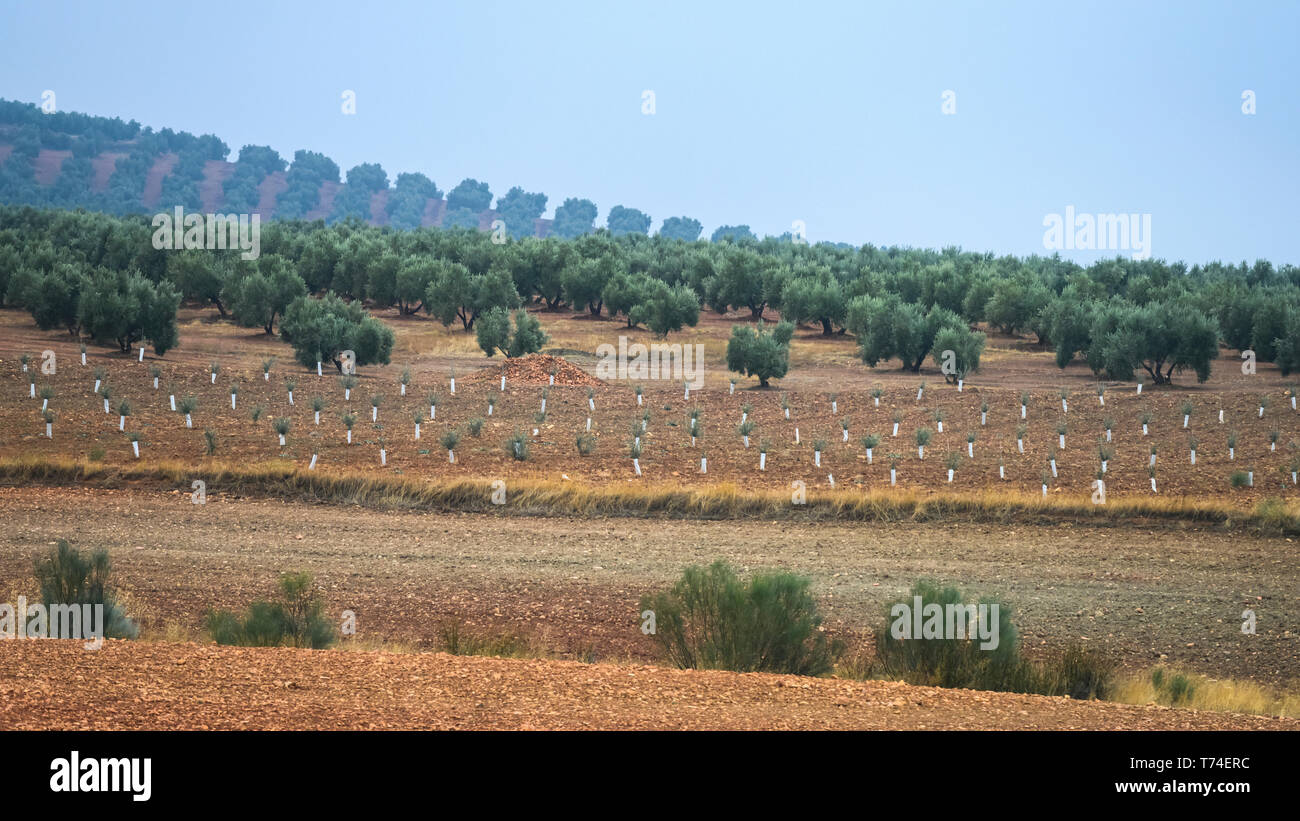 Spanish hillside hi-res stock photography and images - Alamy