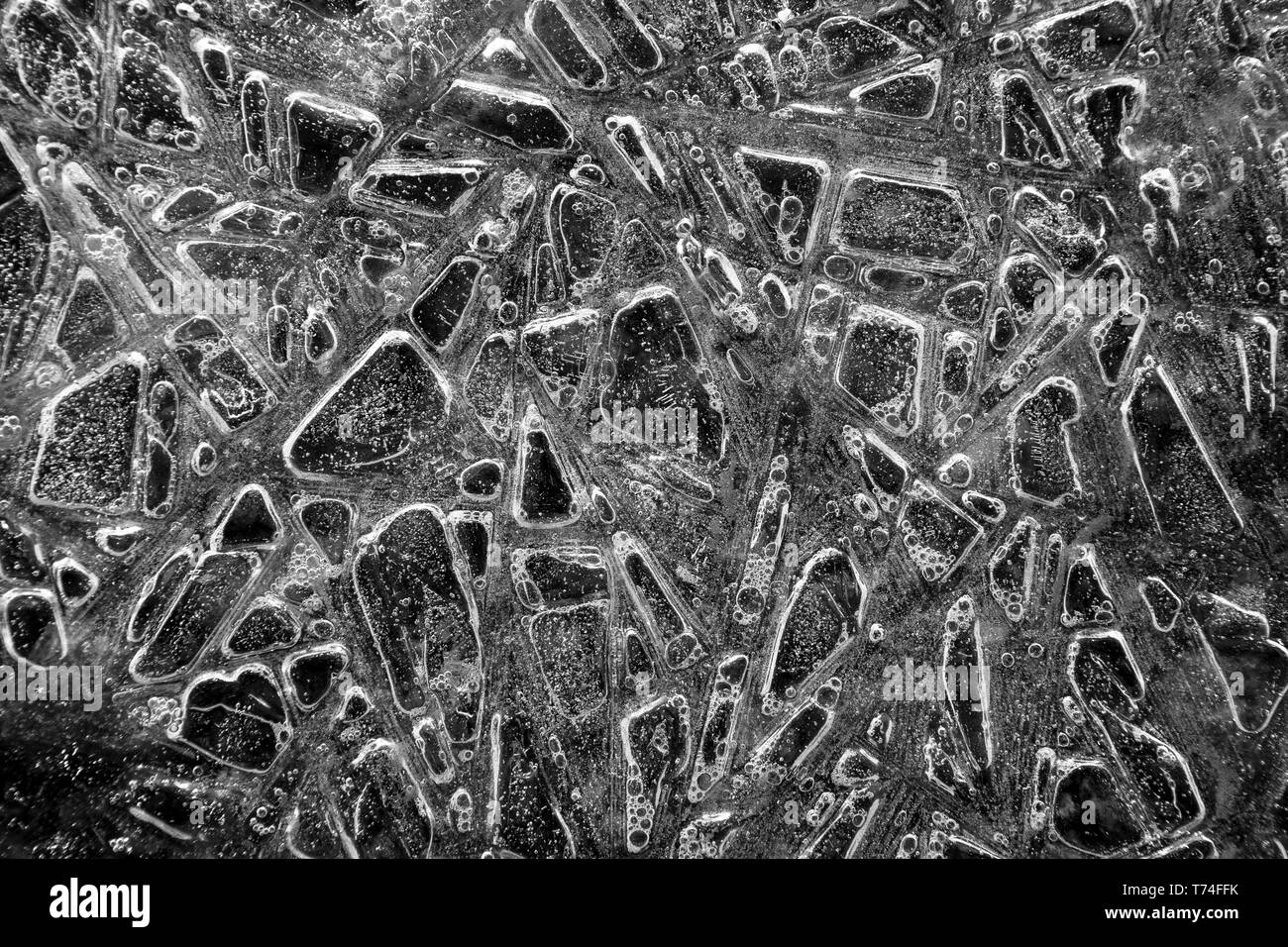 Intertidal ice detail, Eagle Beach State Recreation Area; Alaska ...