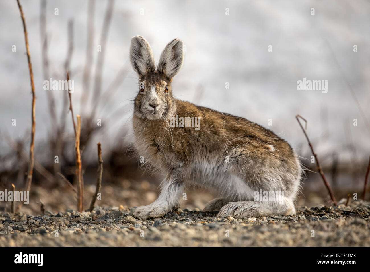 Summer coat hi-res stock photography and images - Alamy