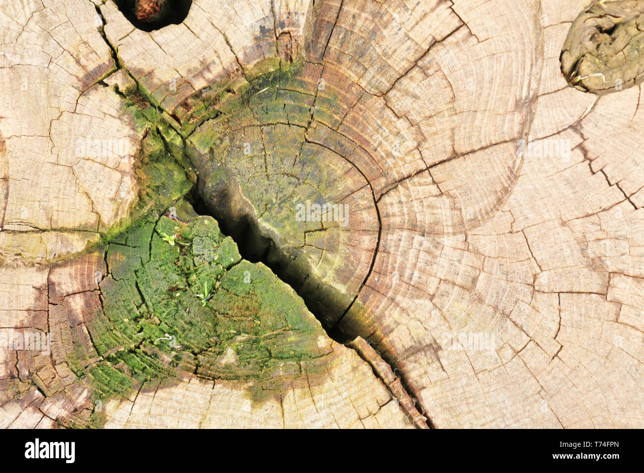 Stub structure hi-res stock photography and images - Alamy