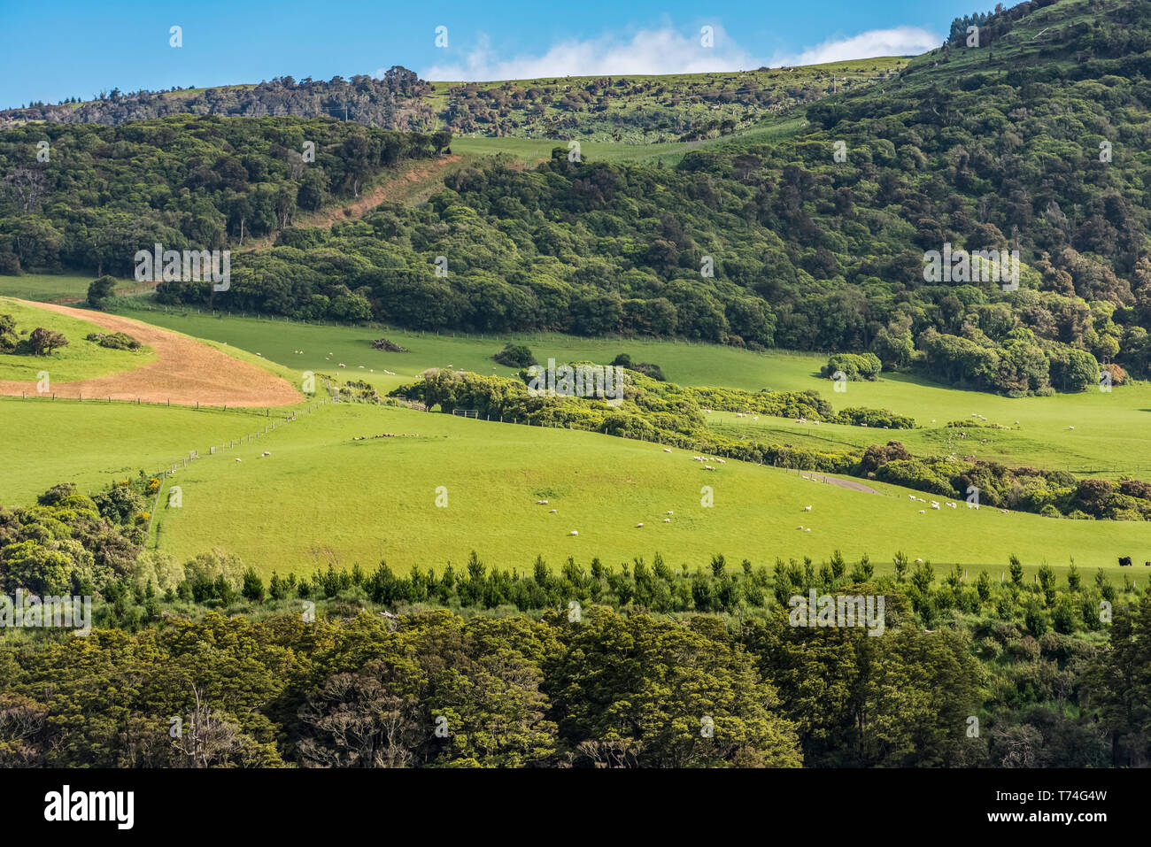 Owaka valley hi-res stock photography and images - Alamy