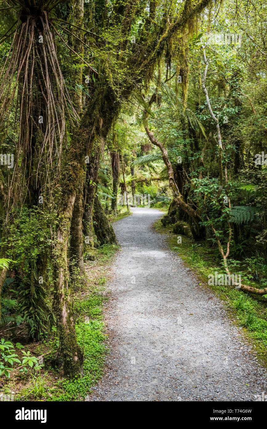 Roaring billy falls walk hi-res stock photography and images - Alamy
